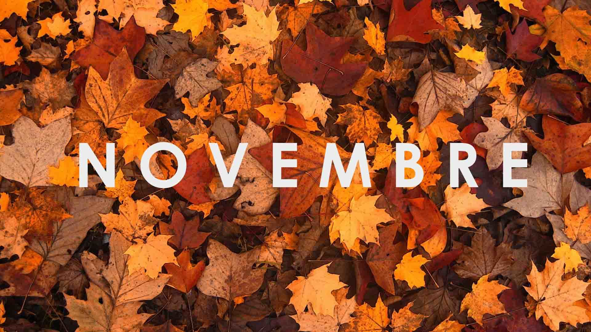 Calendrier des animations sur novembre 2024 – Commune de Bonnefamille